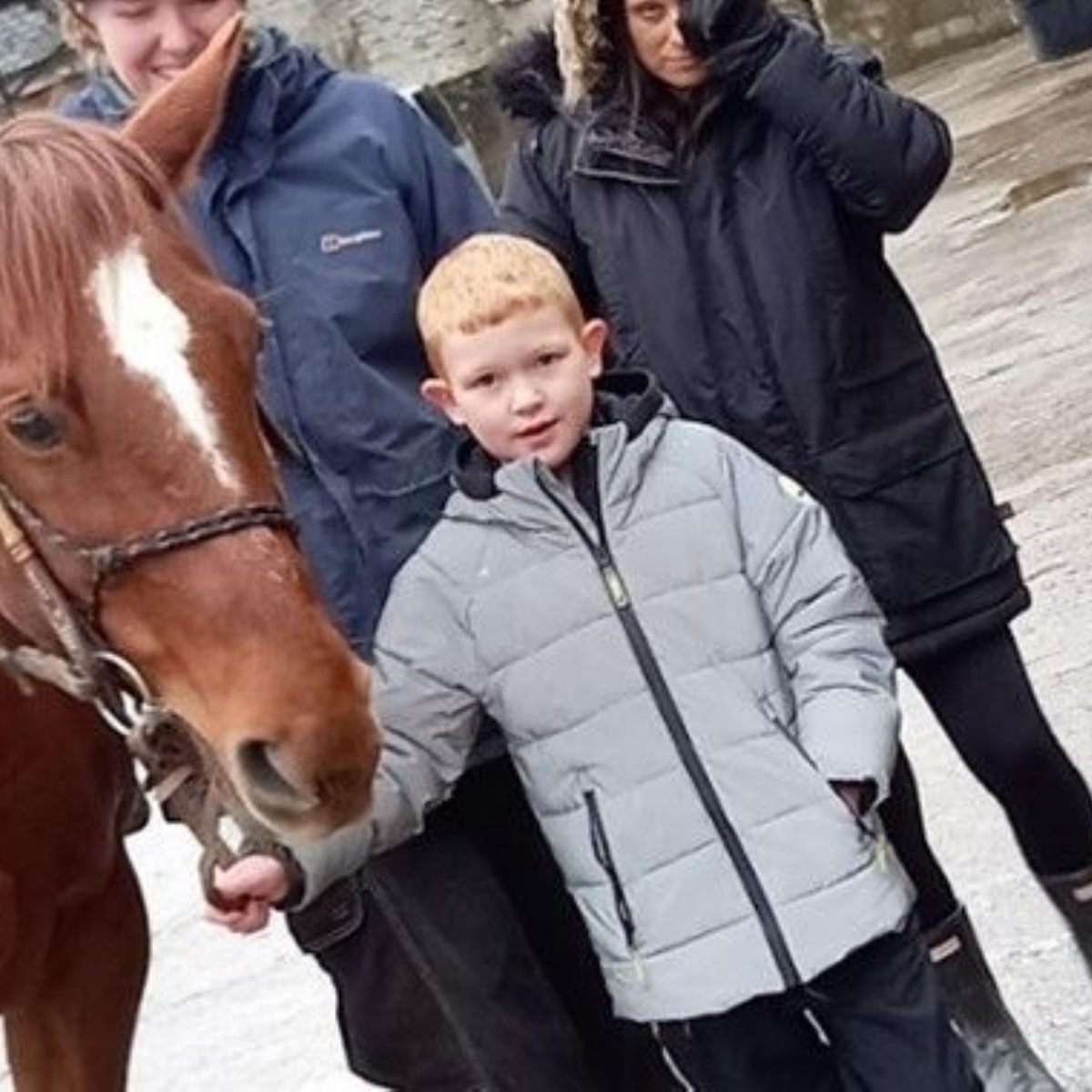 ACE Schools - Primary Update